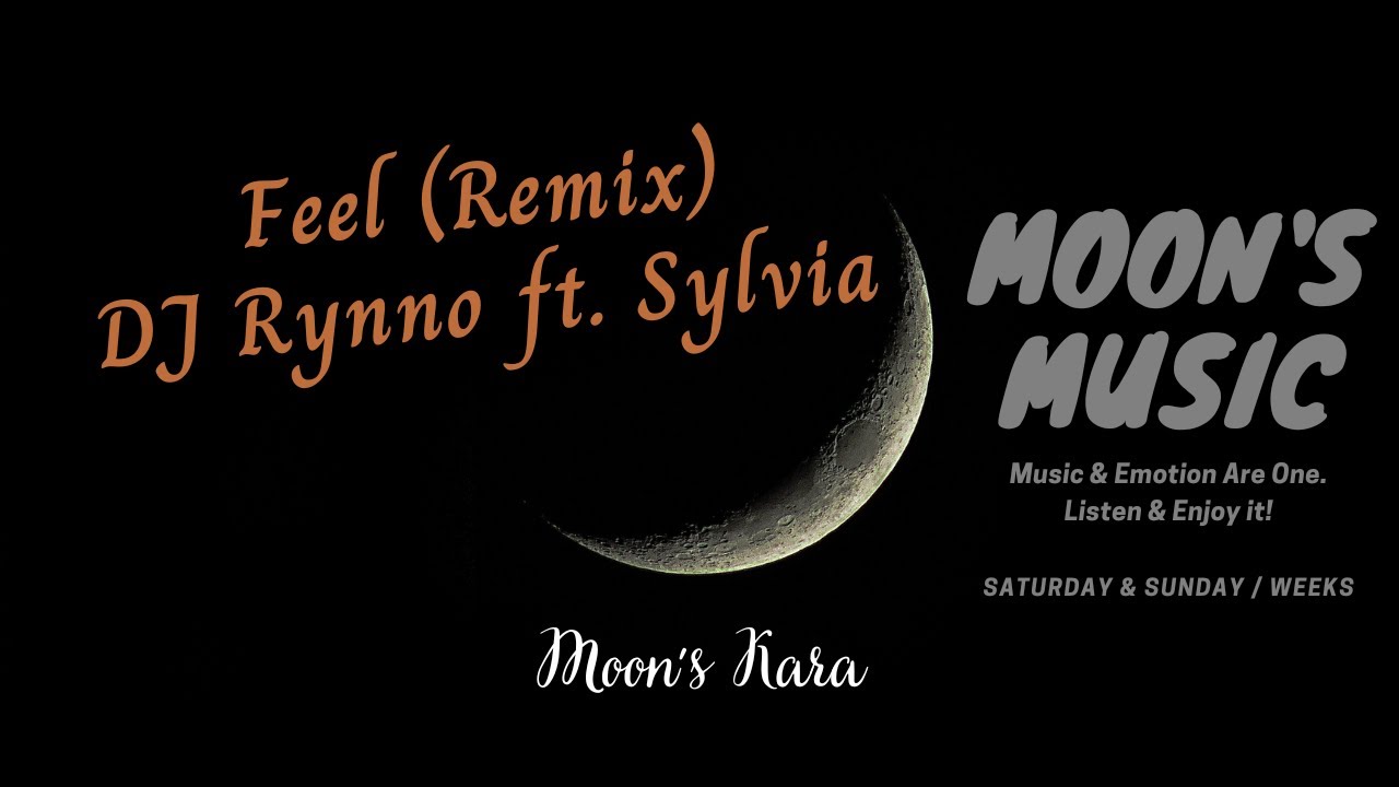 Feel (Remix) - DJ Rynno ft. Sylvia ♪ | Instrument + Karaoke | 4K ...