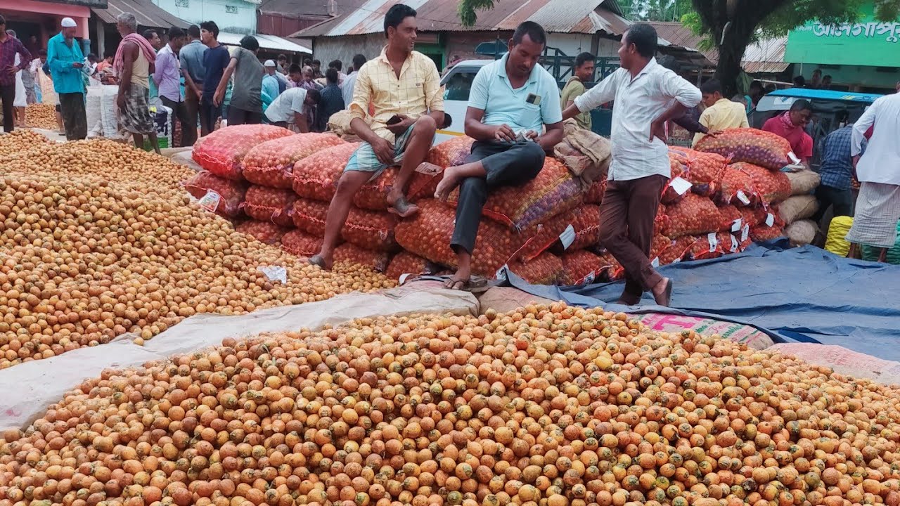 assam biggest betel nut market #Hailakandi Algapur#2023 - YouTube