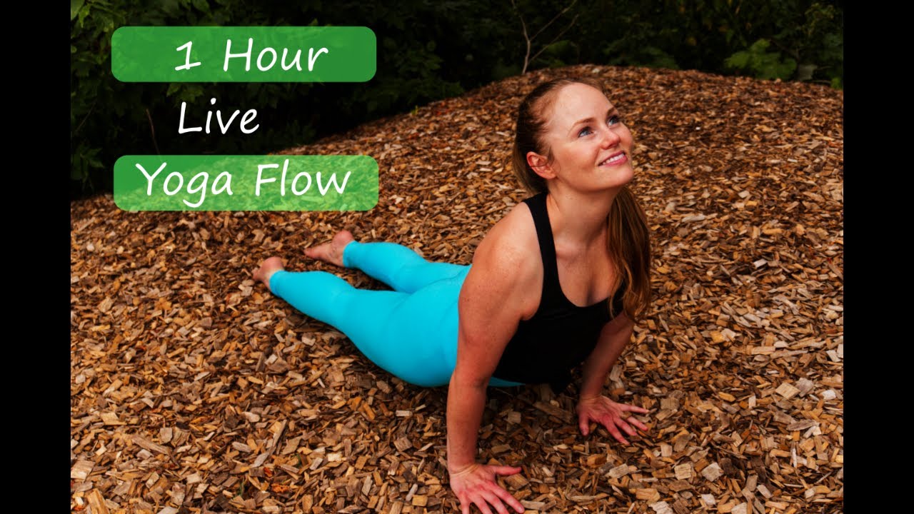 Slow flow, inversion practice & yin yoga | 1 Hour Yoga Live Class - YouTube