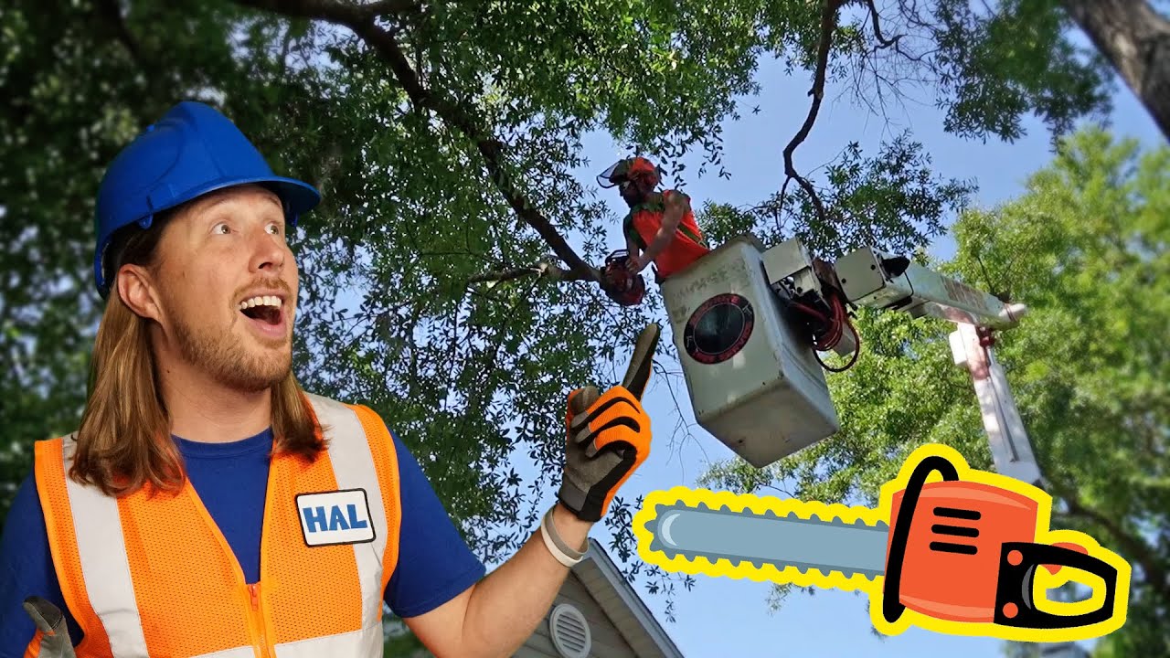 Lawn Mowers For Children | Tree Trimming | Awesome Kid Songs - YouTube