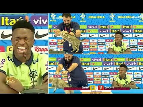 Brazil’s press officer throws cat in shocking World Cup scene - YouTube