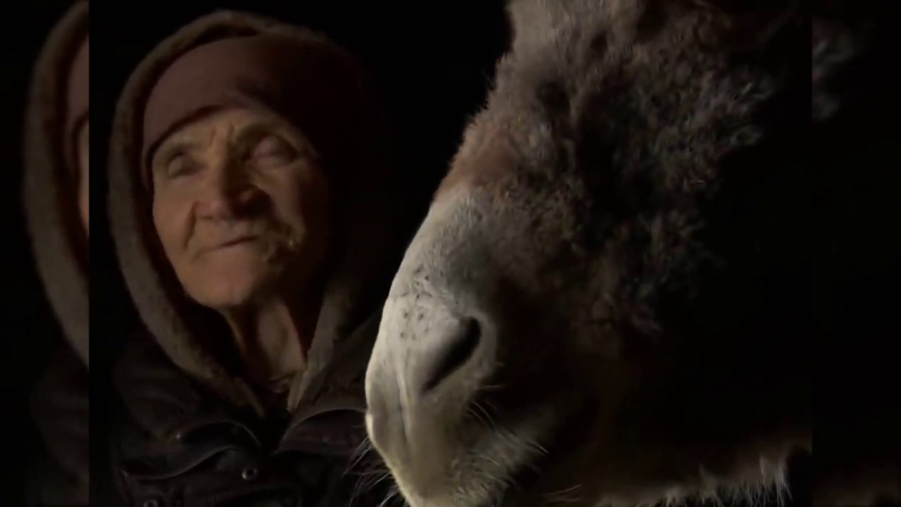 Anguane: Storie di civiltà contadina veneta - YouTube