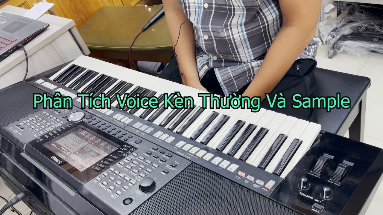 So sánh kèn sample và kèn thường khác nhau như thế nào. - YouTube
