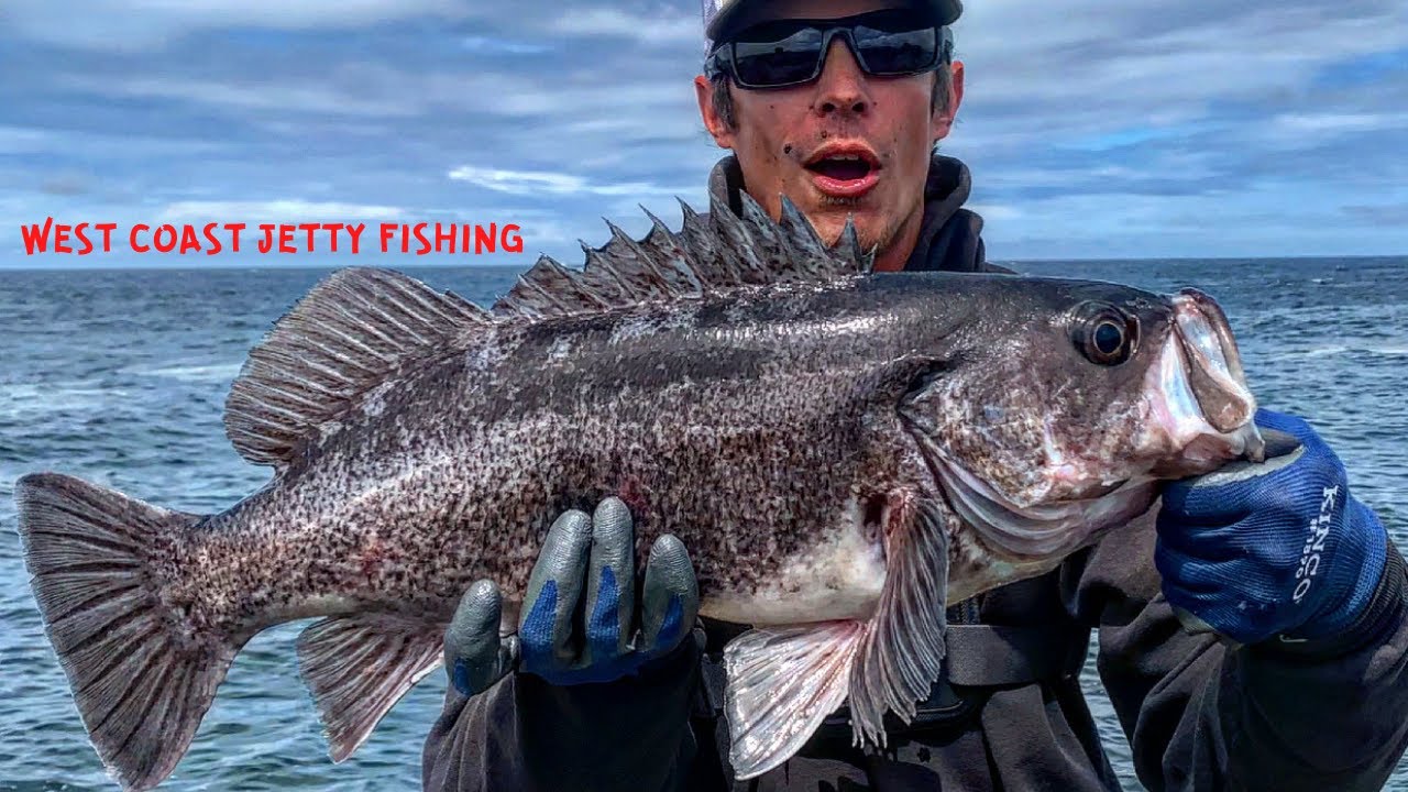 EXTREME Jetty Fishing ACTION! | I Will NEVER Experience A Day Of Jetty ...