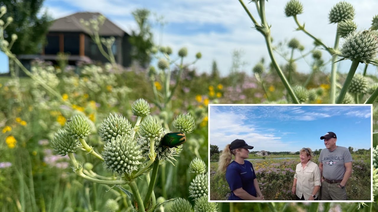 DIY Prairie Restoration - From Turf to Habitat Haven - YouTube