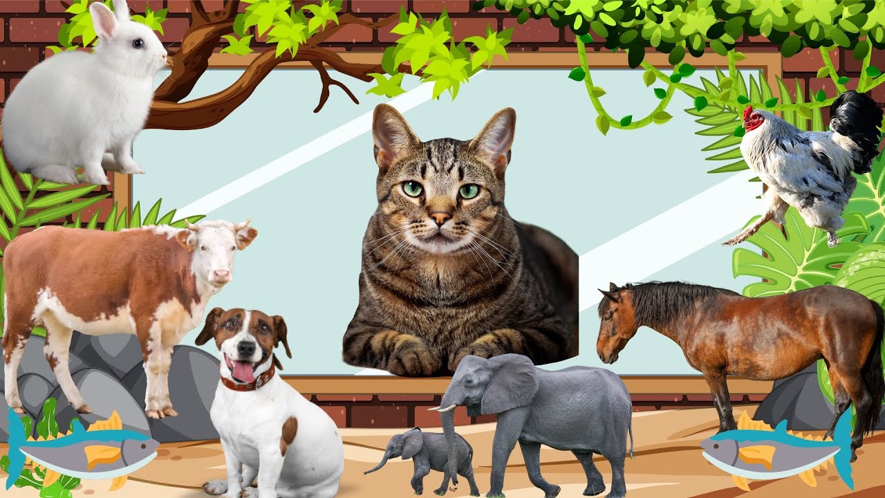 Familiar Animals for Toddlers and Kids with sounds . Cats ,Dogs,,Roster ...
