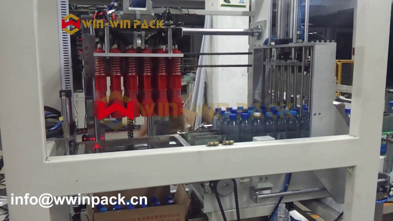 WIN-WIN PACK Chinese packing machine for mineral water bottle/Pick and ...