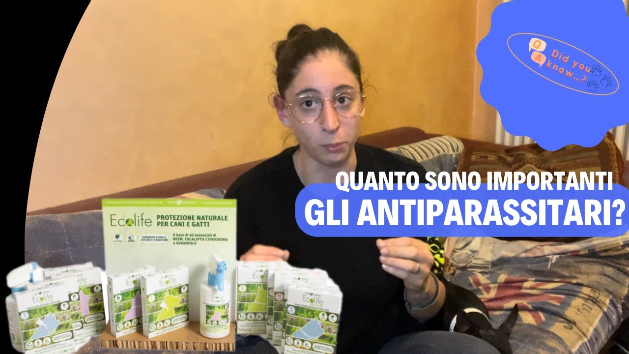 💙#2 Did You Know?💙 Gli Antiparassitari #animals #family #antiparassitari #imparaconnoi - YouTube