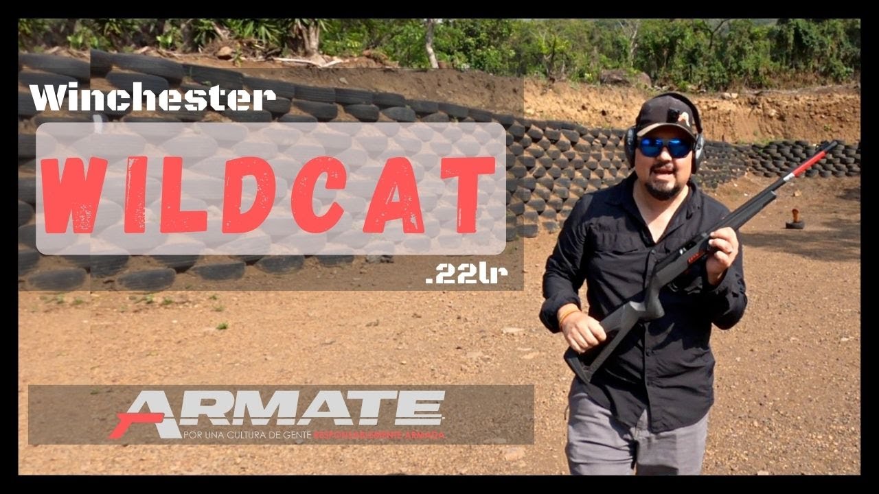Winchester Wildcat Review - YouTube
