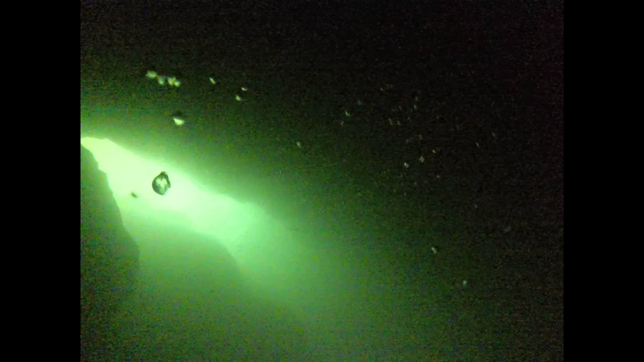 Diving Kings Spring (GoPro Cam Hero 3+ Black Edition) - YouTube