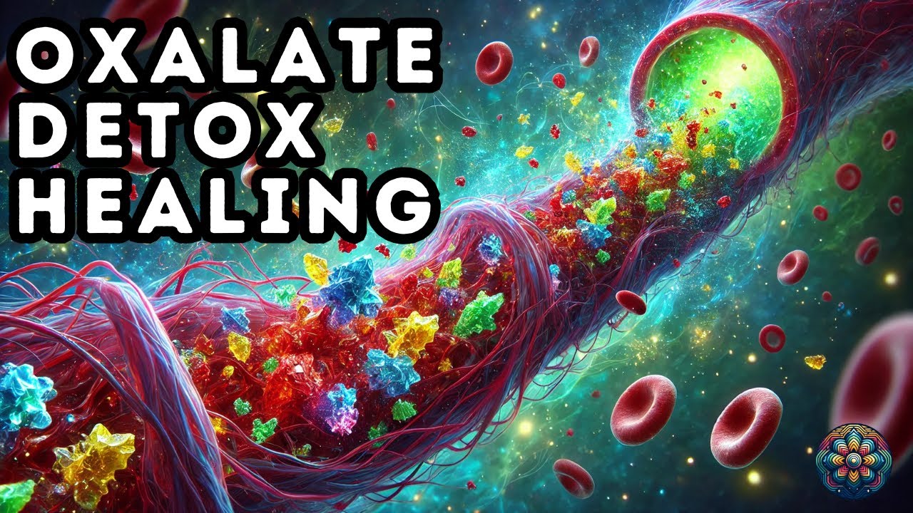 Yuen Method Healing for Safe Oxalate Breakdown & Detox - YouTube