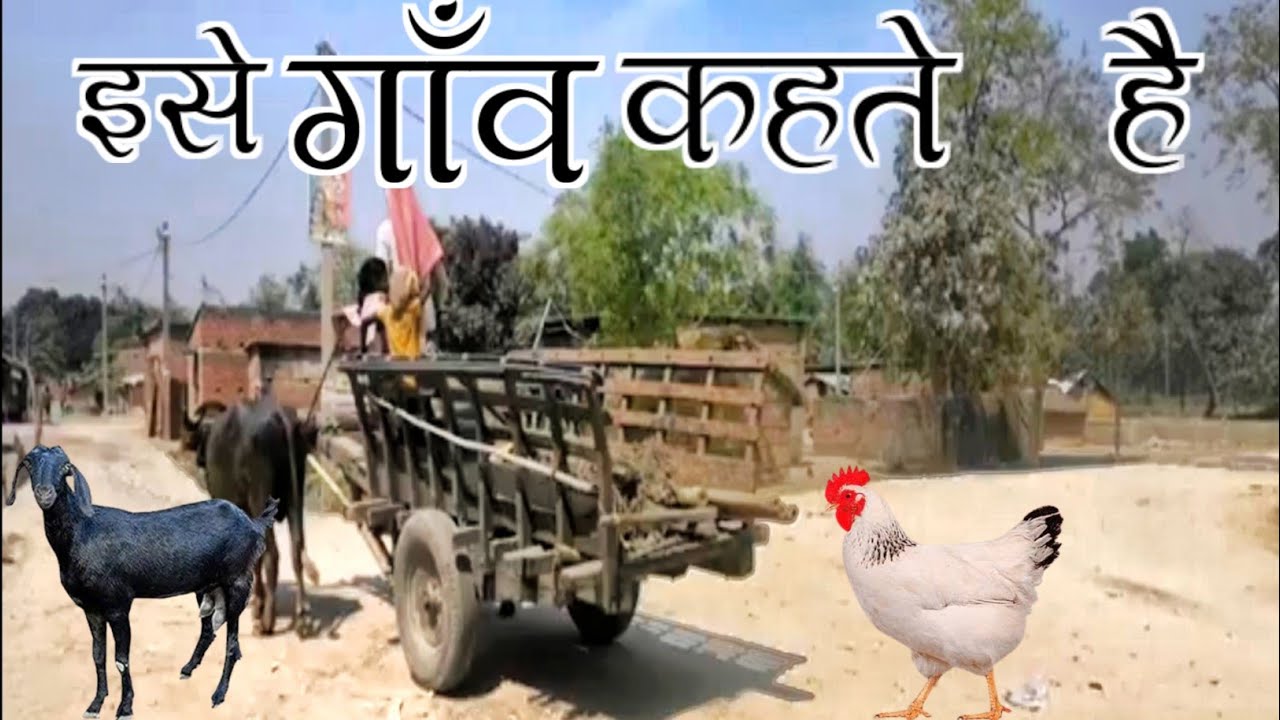 You Will Sock To See Bihar Village Lifestyle | Bihar Village Lifestyle ...