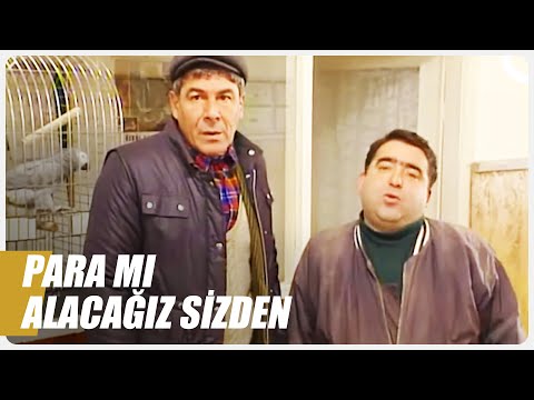 Cafer Ve Penguen'in Rüşvet Planları! | Bizimkiler Özel Sahneler