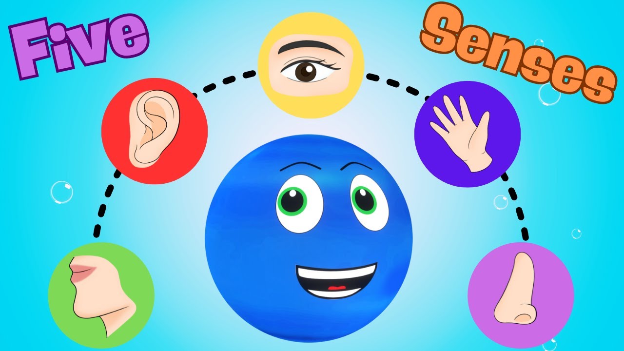 Five Senses. Educational videos for Children. Videos for kids. - YouTube