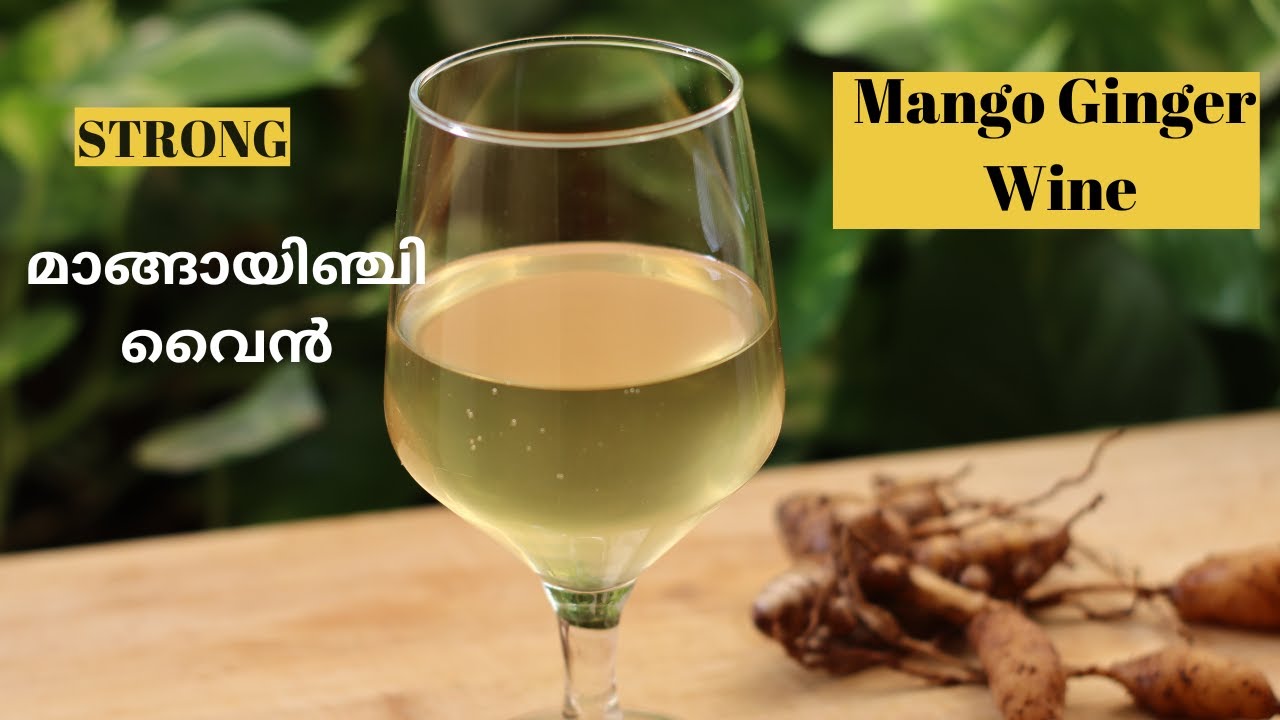 മാങ്ങായിഞ്ചി വൈൻ|Manga Inji Wine|Inchi | Mango Ginger Wine | STRONG ...