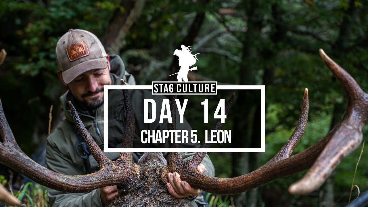 STAG CULTURE DAY 14 - THE BIGGEST STAG I HAVE EVER TAKEN - HUNT HARD ...