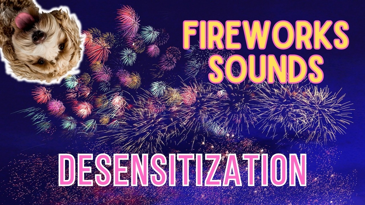Fireworks Sounds For Dogs - How To Prepare Your Dog For Fireworks - YouTube