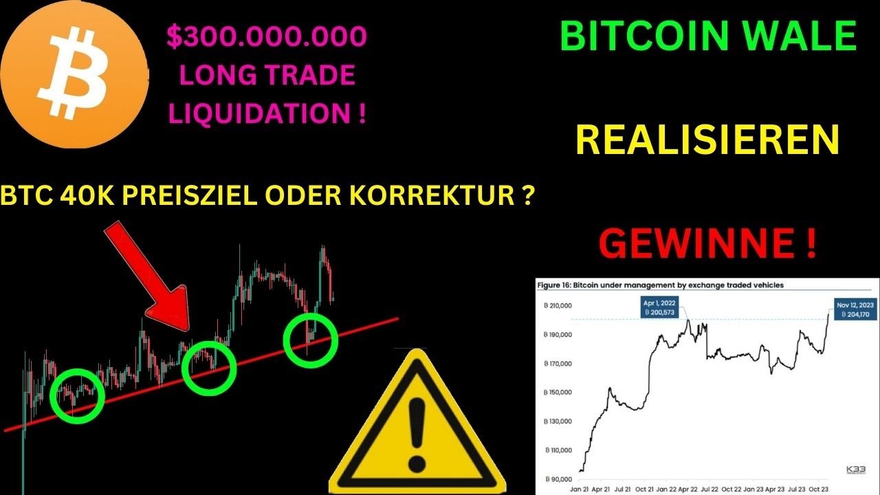 Bitcoin 40 000 Preisziel Oder Korrektur Voraus Wale Realisieren