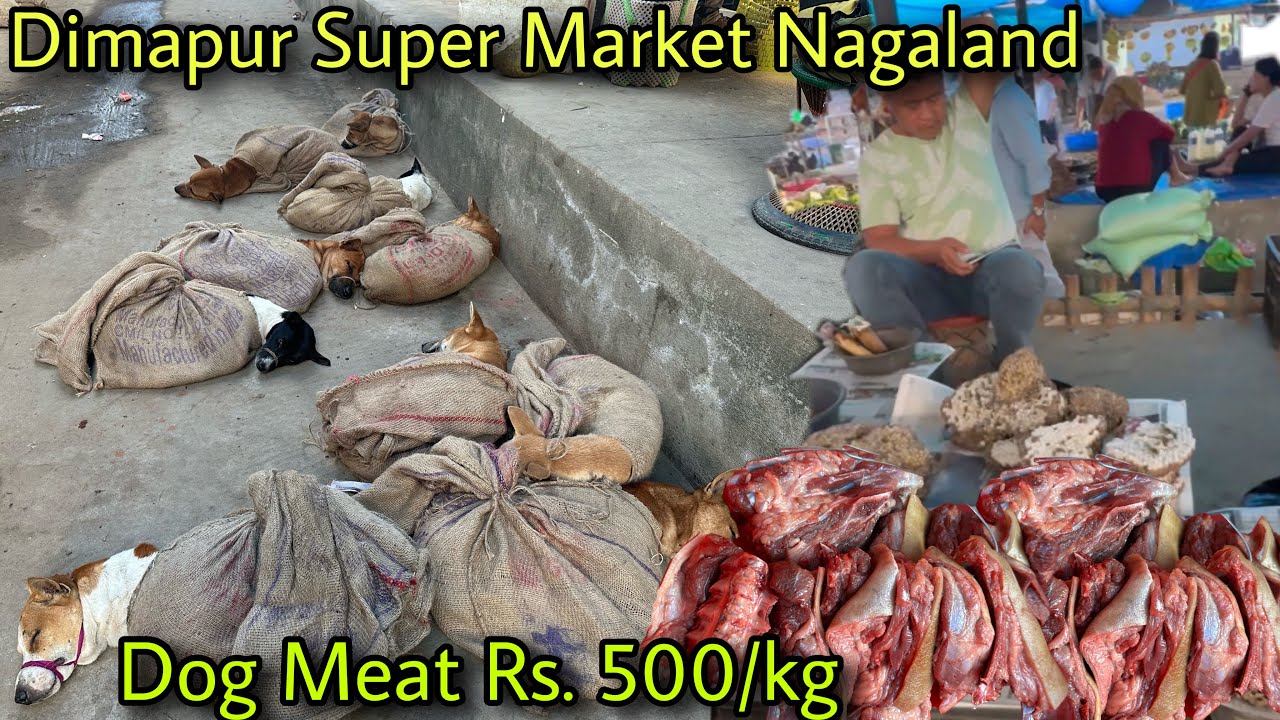 Dimapur Super Market, Most Unique Asian Market || Dog Meat ,Spiders and ...