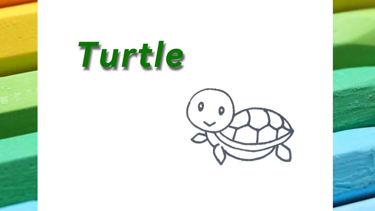 How to Draw a Turtle | Easy Drawing and Coloring for Kids - YouTube