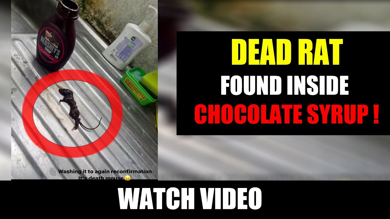 Dead Rat Found in Chocolate Syrup , Watch Video to know more ! - YouTube