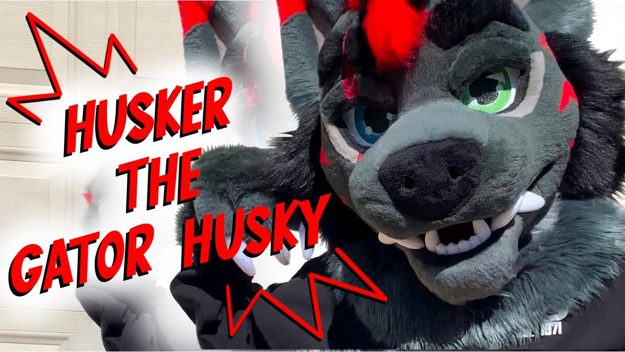 Husker the Gator Husky || Fursuit Commission - YouTube