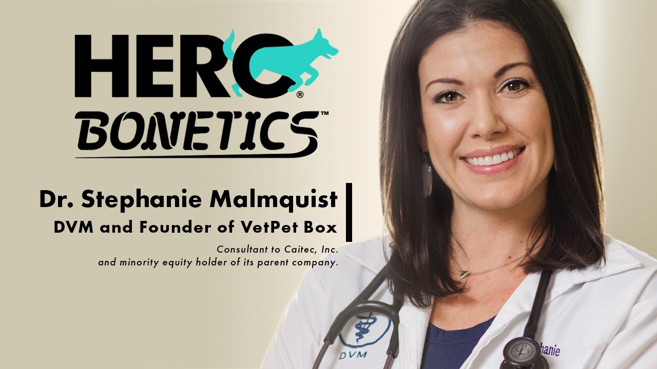 HERO BONETICS VET-APPROVED WOOD-INFUSED NYLON DOG CHEWS AVAILABLE IN ...