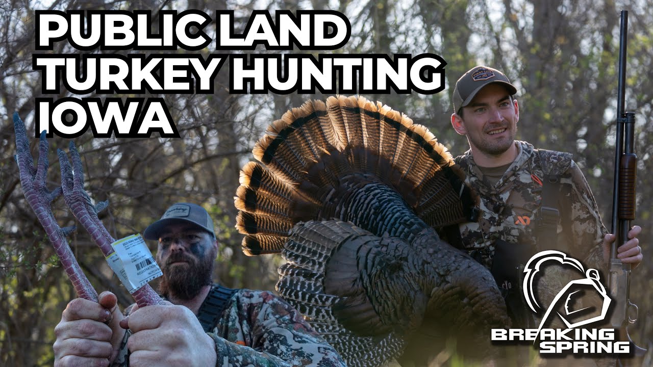 Public Land Turkey Hunt Iowa - YouTube