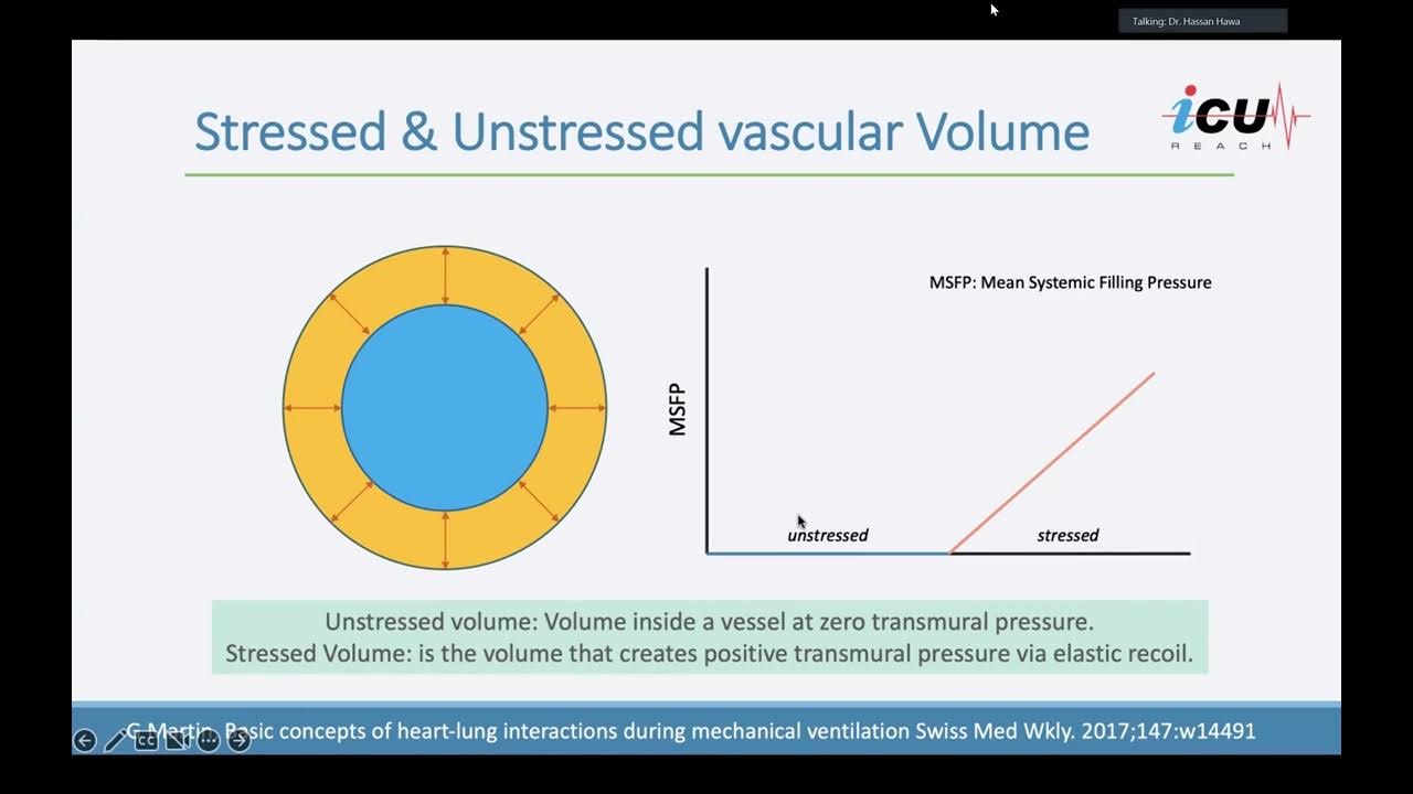 Basic Physiology In Hemodynamics Youtube