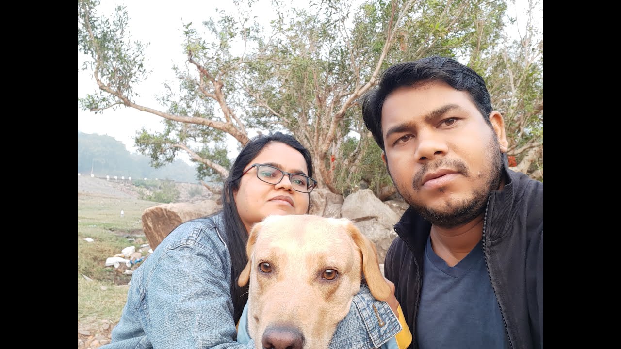 New member in the pack | VLOG # 50 | Romeo Labrador | Life of Romeo Labrador - YouTube