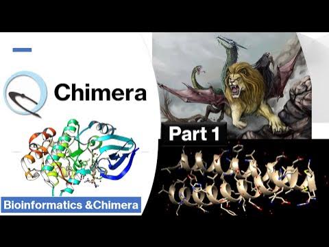 Exploring Chimera Tools in Bioinformatics Analyzing Protein Structure with Precision ( شرح الجزء ...