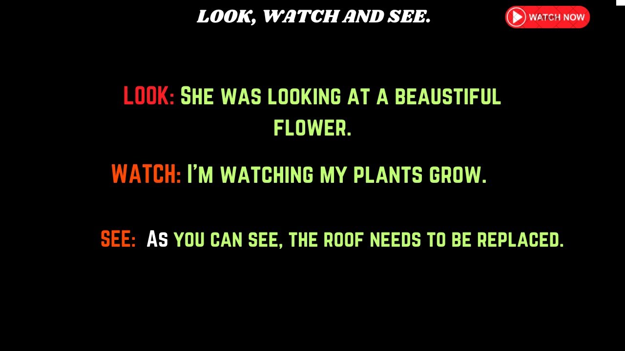GRAMMAR TO LOOK, WATCH AND SEE, Easy English conversation, English ...