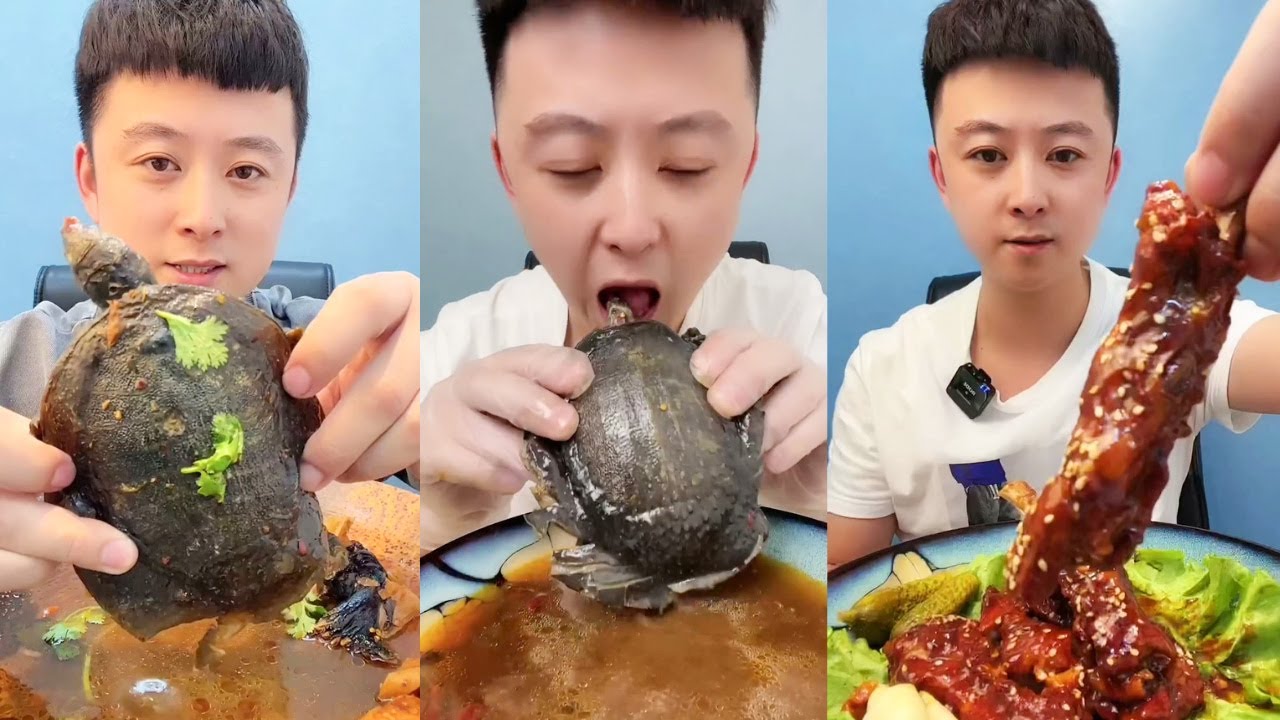Let's eating turtles again, Favorited food eating show | Chinese ...
