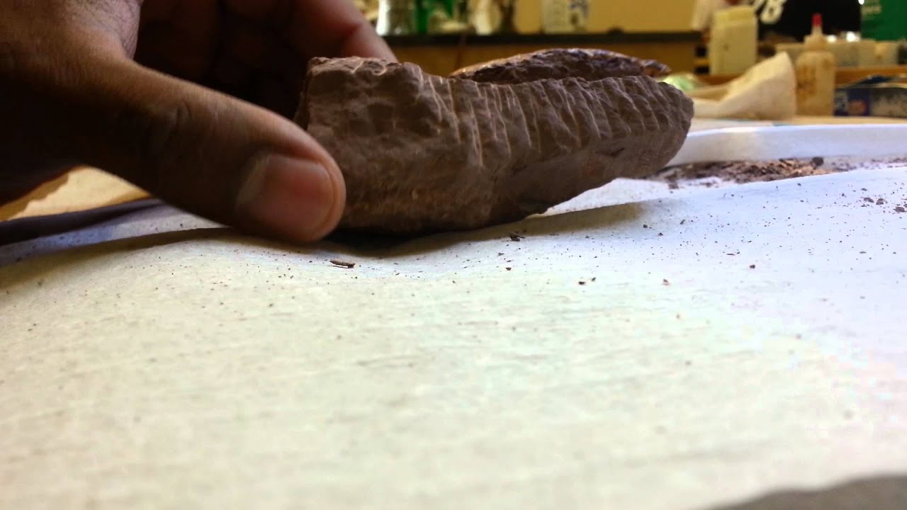 Using Paleo Tools - YouTube
