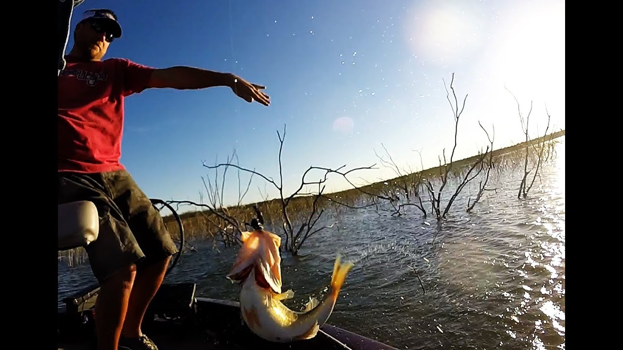 FALCON LAKE BIG Bass Fishing Montage - GoPro HD - How to flip trees ...