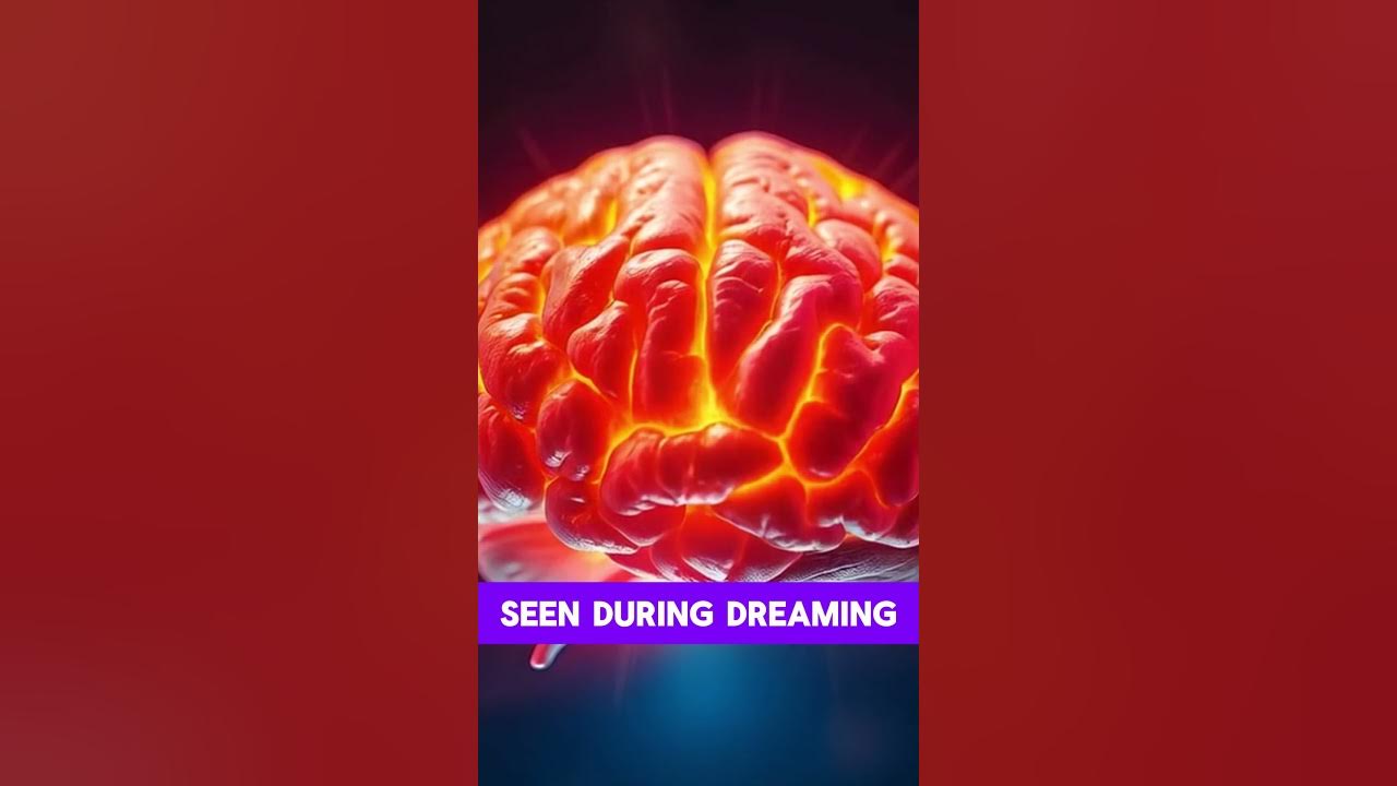 Does your brain know you've dying before you do ? 🤯 #trending #shorts - YouTube