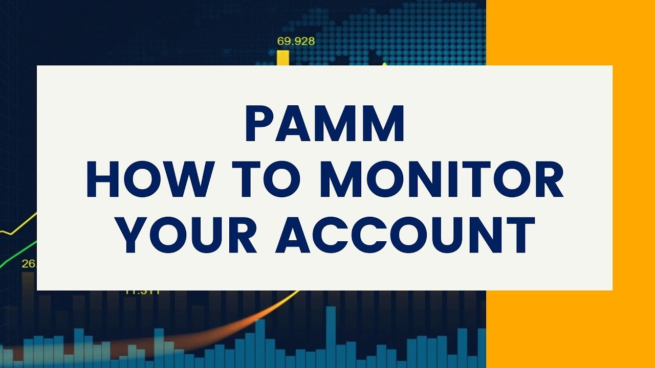 PAMM | HOW TO MONITOR YOUR ACCOUNT - YouTube
