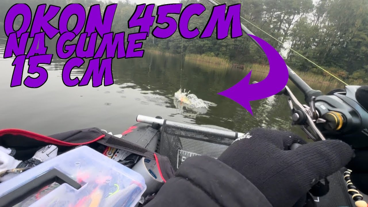Okoń 45cm na Gume 15cm | Szczupaki na Casting Z Belly | Favorite X1C 20-80g - YouTube