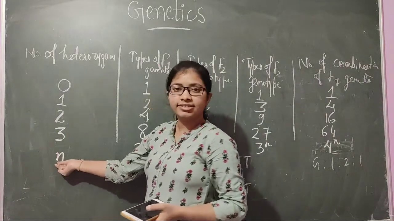 Dihybrid cross|Back cross|Principle of inheritance and variation|L-4 ...