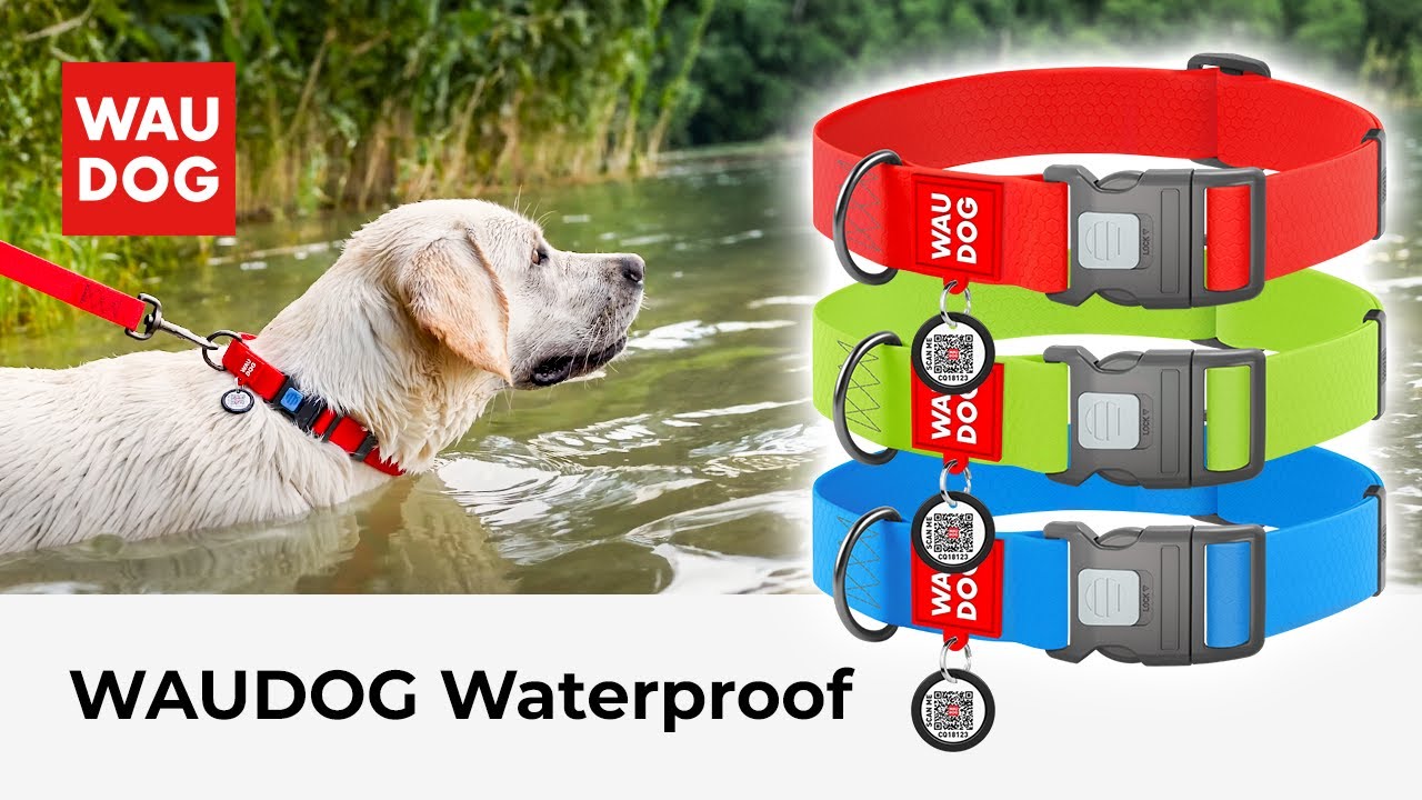 WAUDOG Waterproof - YouTube