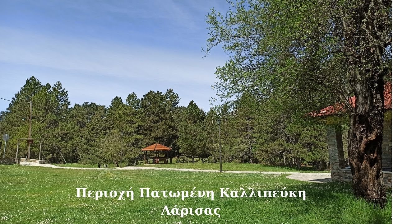 Καλλιπευκη Λάρισας-περιοχη Πατωμενη - YouTube