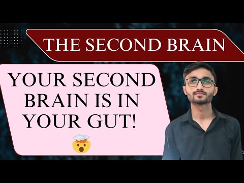 Enteric Nervous System | The Second Brain | Gut-Brain Connection ...