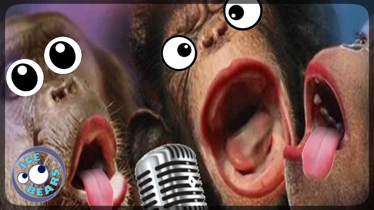 Videos De Risa 2021 ,Si Te Ríes Pierdes 😅 Mejores Videos de Risa 😏🐾 ...