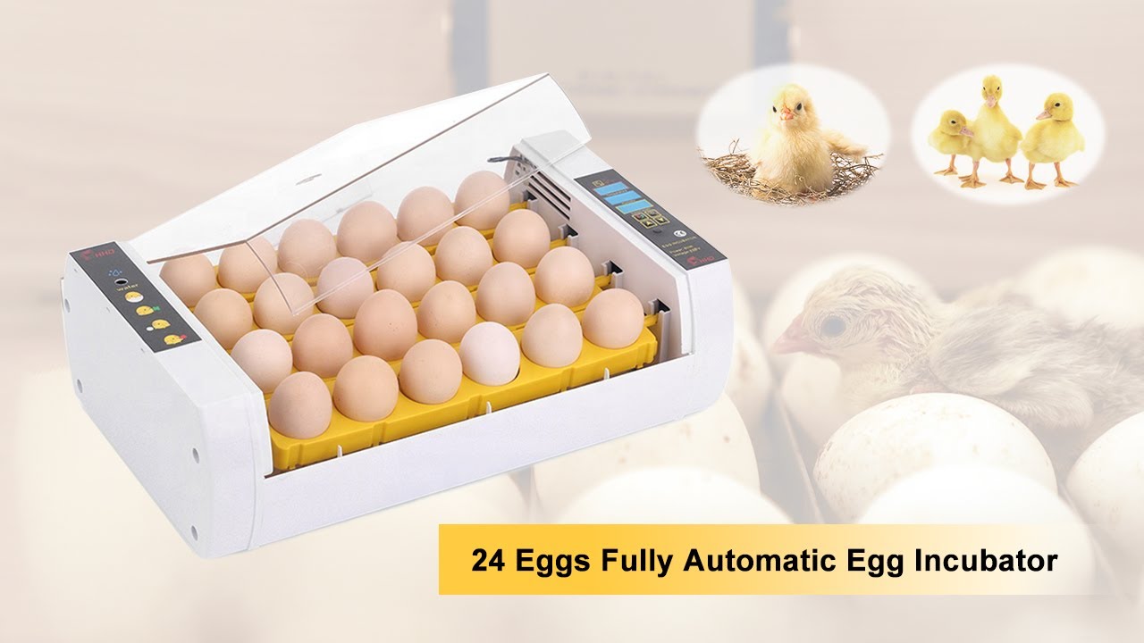 Home Smart Egg Incubator | 24 Eggs - YouTube