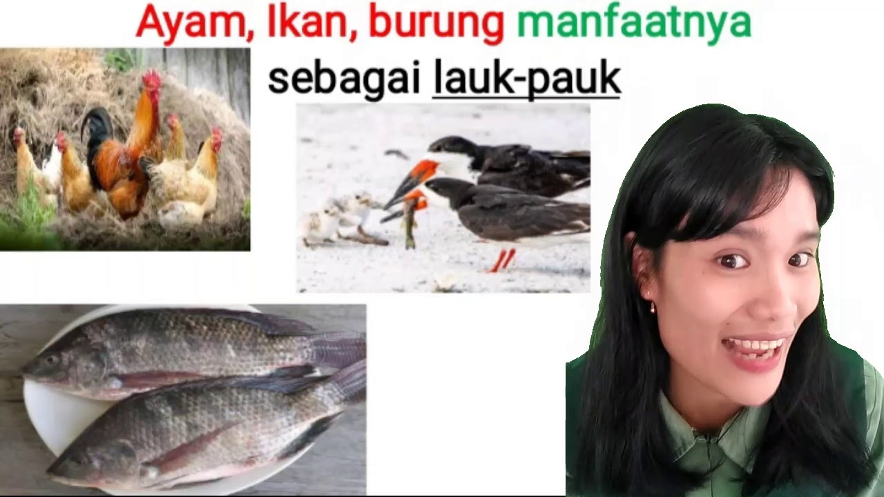 Pembelajaran On-Line Agama Kristen Kelas 1 SD Candle Tree School - YouTube