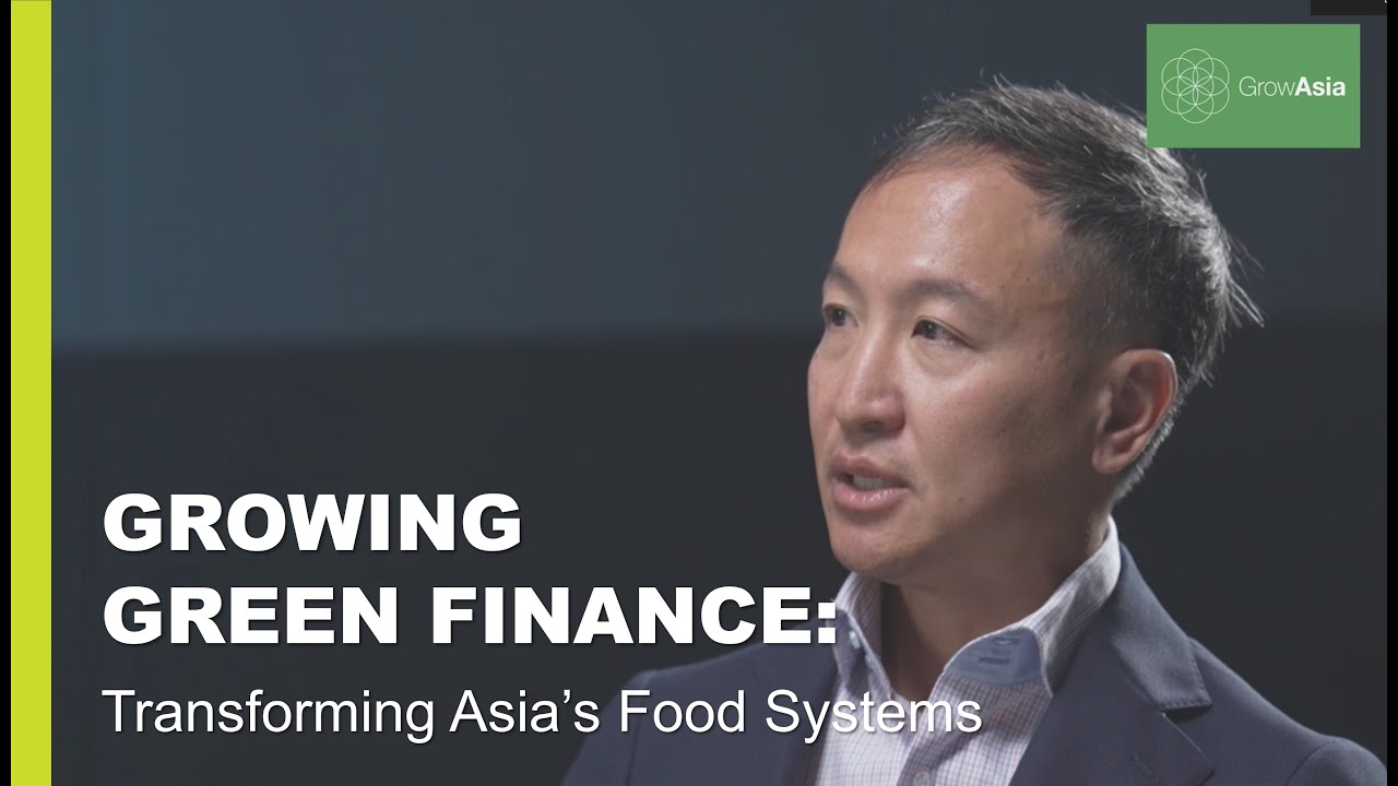 TAP Group Co-Founder and Executive Chairman, Arif P. Rachmat - YouTube