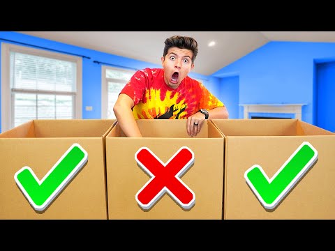 Don't Choose the Wrong MYSTERY Box with My Little Brother!