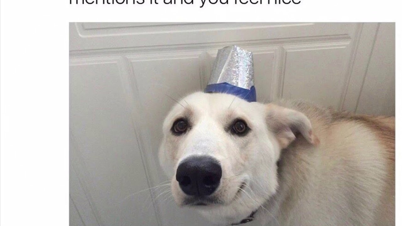 For CynicaMane. I unfriended him cri cri cri cri - YouTube