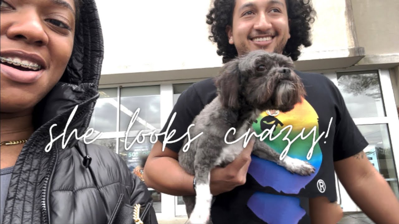OUR DOG CAME BACK BALD!😳😭 - YouTube
