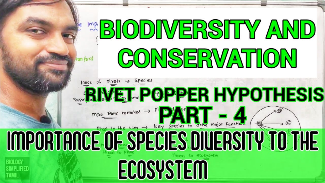 Biodiversity and Conservation | Part 4 | Rivet popper hypothesis - YouTube